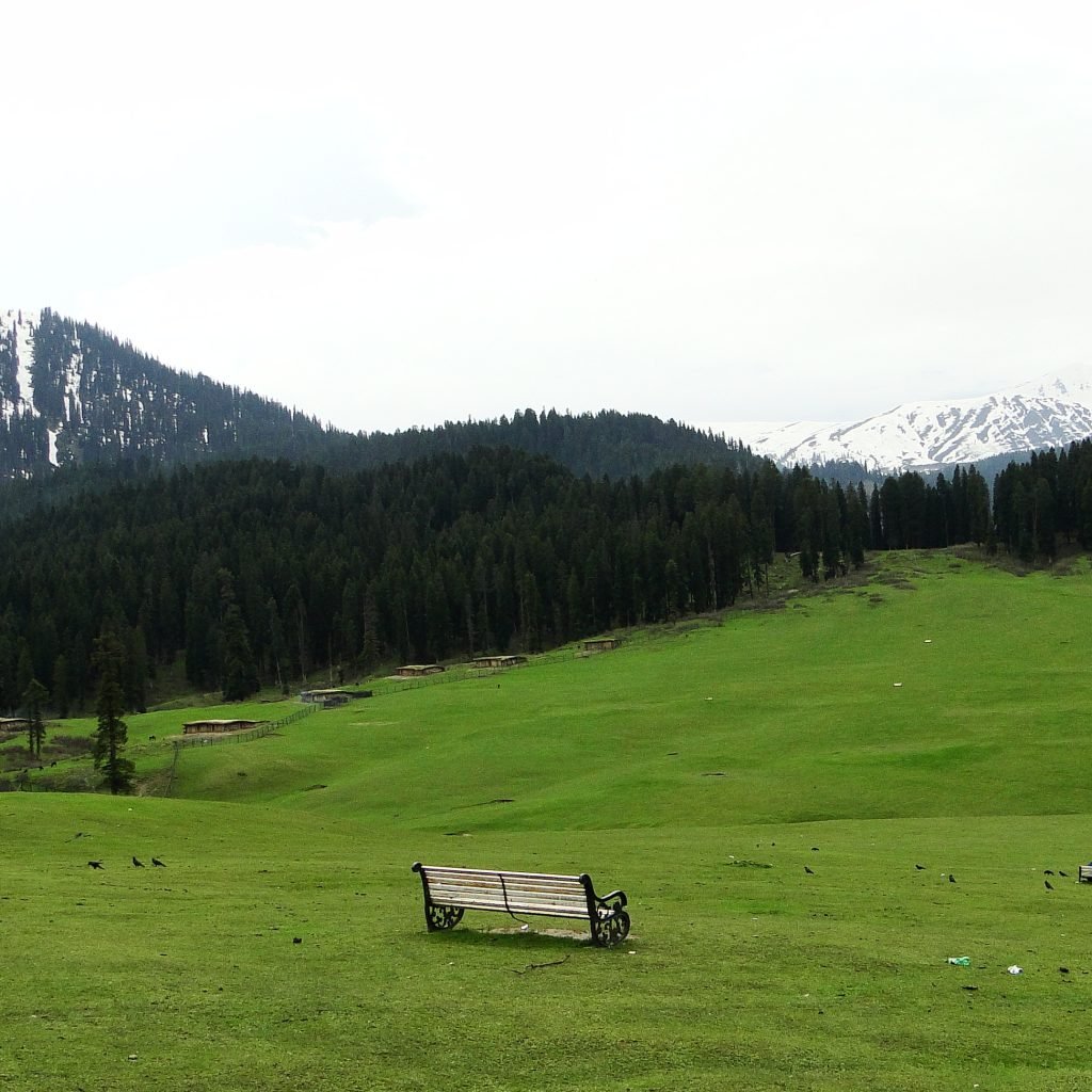 Doodhpathri in Kashmir : A Serene Meadow of Pure Beauty - Charzan Holidays